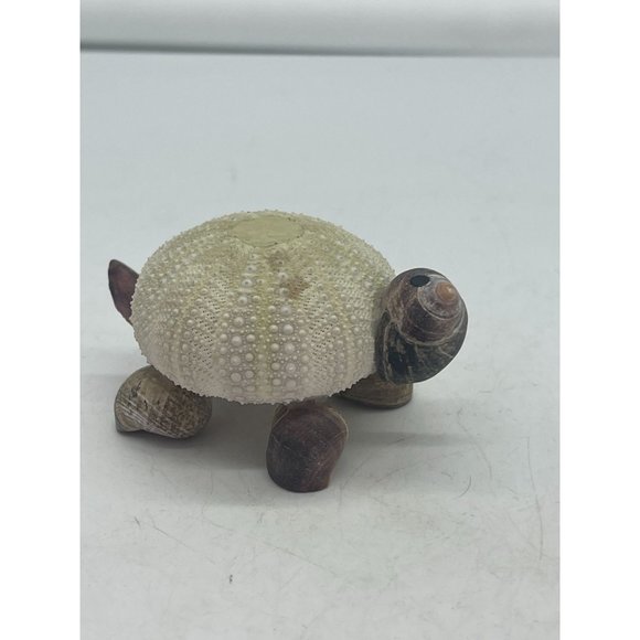 Accents | Vintage Turtle Made From Sea Shells Sea Urchin | Poshmark